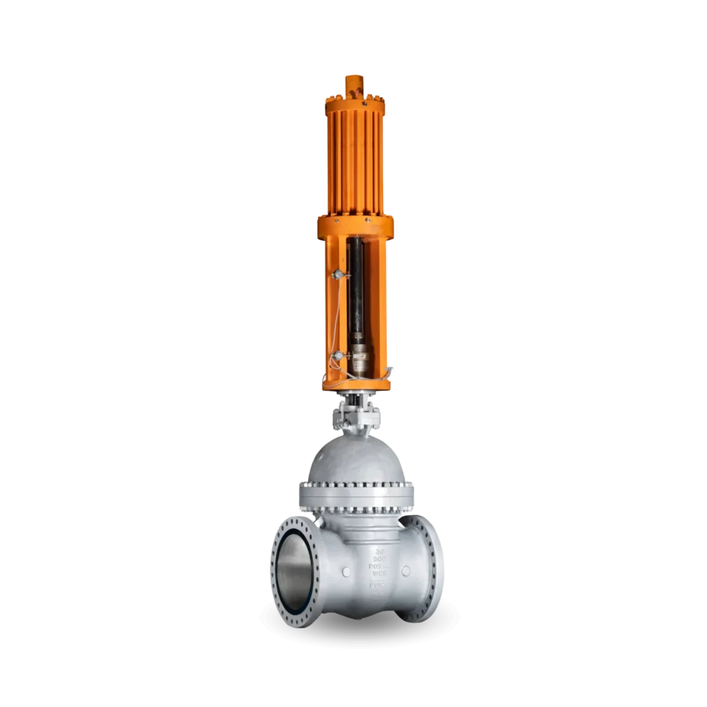 Bolted bonnet gate valve - CSI Technologies